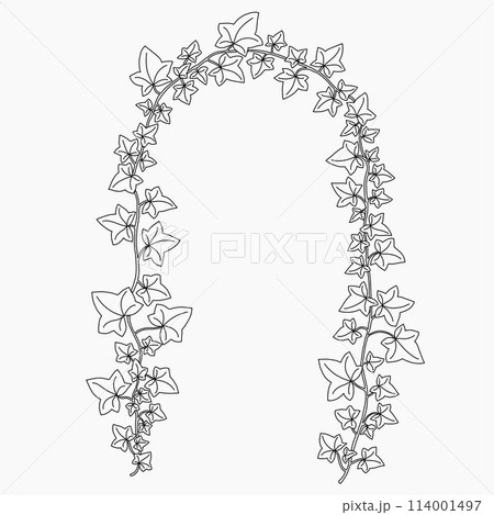 Simple Ivy Drawing